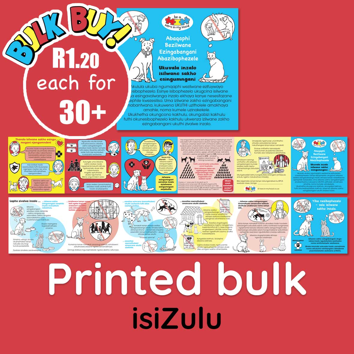 Sterilisation info brochure, isiZulu - bulk printed - Hero in my Hood